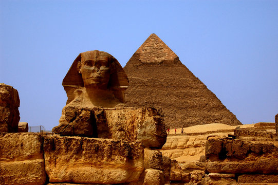 Svinks bilder – Bläddra bland 1 stockfoton, vektorer och videor | Adobe ...