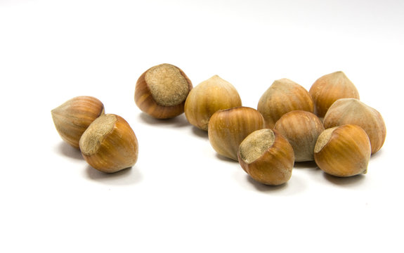 Nutlet Bilder – Durchsuchen 2,406 Archivfotos, Vektorgrafiken und ...