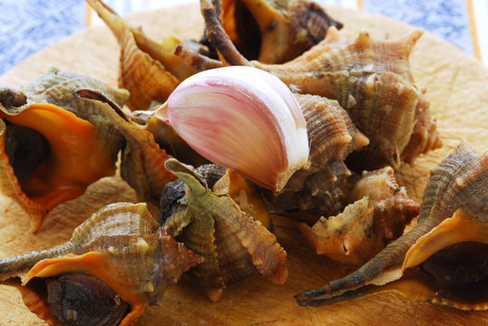 รูปภาพMurice – เลือกดูภาพถ่ายสต็อก เวกเตอร์ และวิดีโอ96 | Adobe Stock