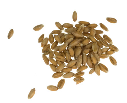 รูปภาพSpelz – เลือกดูภาพถ่ายสต็อก เวกเตอร์ และวิดีโอ245 | Adobe Stock