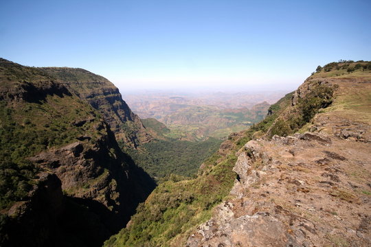 รูปภาพ"Simien – เลือกดูภาพถ่ายสต็อก เวกเตอร์ และวิดีโอ5,135 | Adobe Stock
