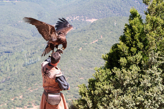 「Fauconnier」の写真素材 | 257件の無料イラスト画像 | Adobe Stock