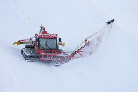 Ratraque Images – Browse 20 Stock Photos, Vectors, and Video | Adobe Stock