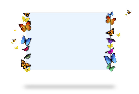 Butterfly Border Designs