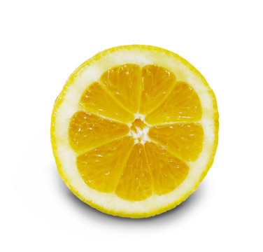 「Zitronenscheibe」の写真素材 | 2,723件の無料イラスト画像 | Adobe Stock