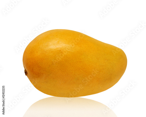 "Single Mango" Stock photo and royalty-free images on Fotolia.com - Pic ...