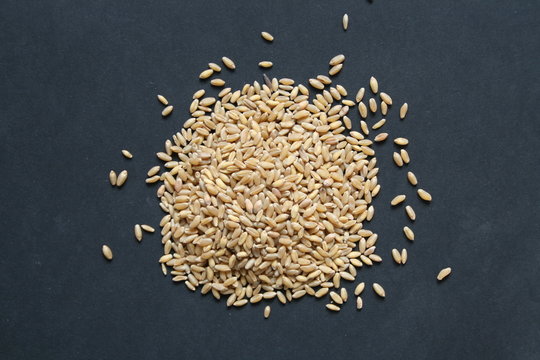 「Hartweizen」の写真素材 | 2,256件の無料イラスト画像 | Adobe Stock