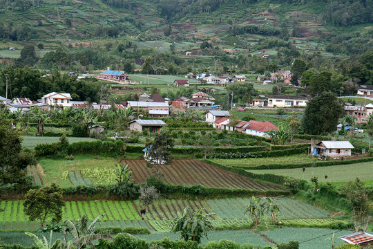 Brastagi Images – Browse 87 Stock Photos, Vectors, and Video | Adobe Stock