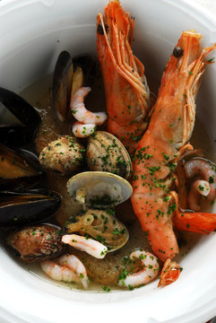 「Pedoci」の画像 - 197 件の Stock 写真、ベクターおよびビデオ | Adobe Stock