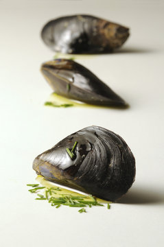 Pedoci bilder – Bläddra bland 197 stockfoton, vektorer och videor ...