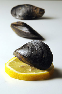 「Pedoci」の画像 - 197 件の Stock 写真、ベクターおよびビデオ | Adobe Stock