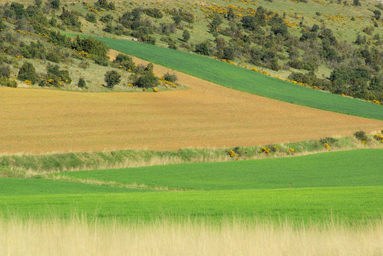 รูปภาพ"Feld – เลือกดูภาพถ่ายสต็อก เวกเตอร์ และวิดีโอ692,712 | Adobe Stock