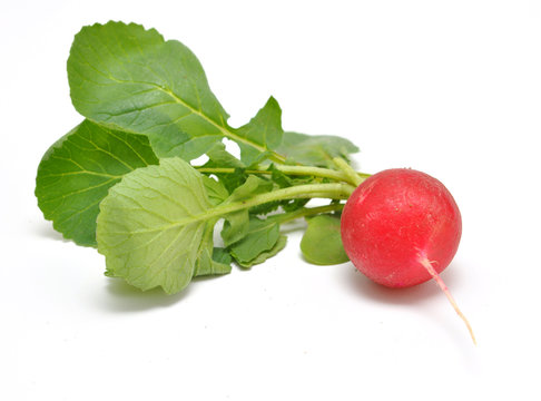 「Ravanello」の画像 - 866 件の Stock 写真、ベクターおよびビデオ | Adobe Stock