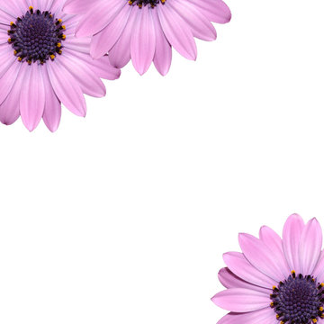 Lilla bilder – Bläddra bland 5,777 stockfoton, vektorer och videor ...