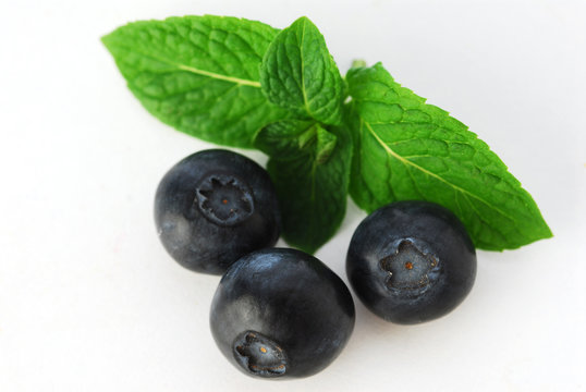 Myrtillus Images – Browse 1,857 Stock Photos, Vectors, and Video ...