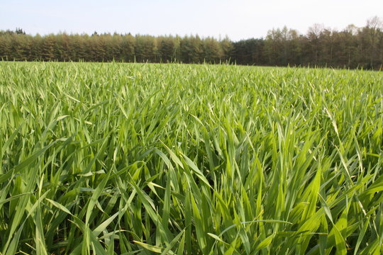 รูปภาพKeimend – เลือกดูภาพถ่ายสต็อก เวกเตอร์ และวิดีโอ117 | Adobe Stock