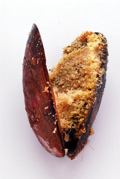 Pedoci Images – Browse 197 Stock Photos, Vectors, and Video | Adobe Stock