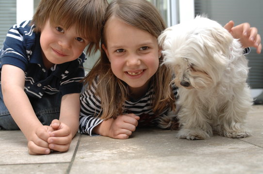 Kinder Hund Images – Browse 2,449 Stock Photos, Vectors, and Video ...