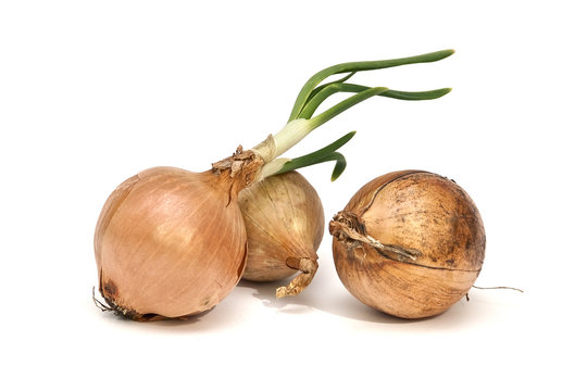 รูปภาพKeimend – เลือกดูภาพถ่ายสต็อก เวกเตอร์ และวิดีโอ117 | Adobe Stock