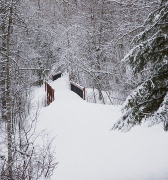 "Winter Scenes" Bilder – Durchsuchen 571 Archivfotos, Vektorgrafiken ...