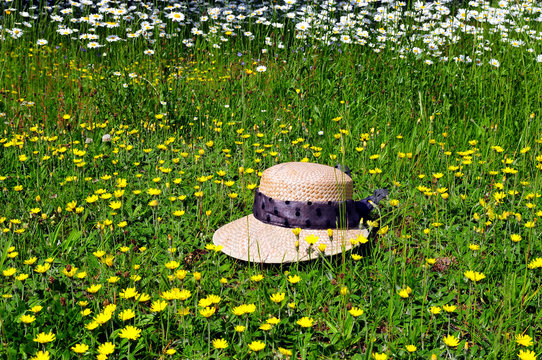 รูปภาพStrohut – เลือกดูภาพถ่ายสต็อก เวกเตอร์ และวิดีโอ181 | Adobe Stock