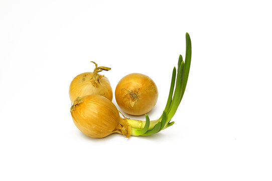 รูปภาพKeimend – เลือกดูภาพถ่ายสต็อก เวกเตอร์ และวิดีโอ117 | Adobe Stock