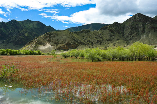 「Sinkiang」の画像 - 1,205 件の Stock 写真、ベクターおよびビデオ | Adobe Stock