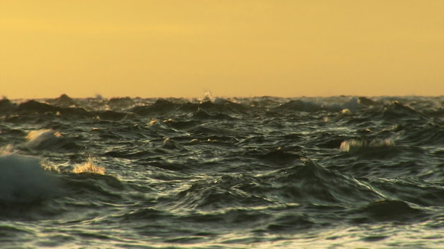 Ostee 이미지 – 찾아보기 275 스톡 사진, 벡터 및 비디오 | Adobe Stock