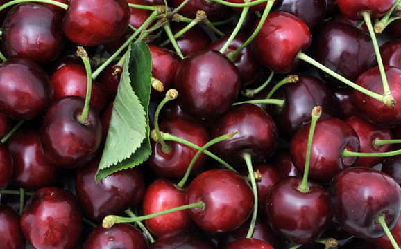 รูปภาพPicciolo – เลือกดูภาพถ่ายสต็อก เวกเตอร์ และวิดีโอ1,000 | Adobe Stock