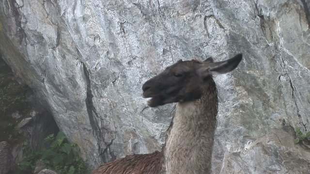 Schmatzen bilder – Bläddra bland 340 stockfoton, vektorer och videor ...