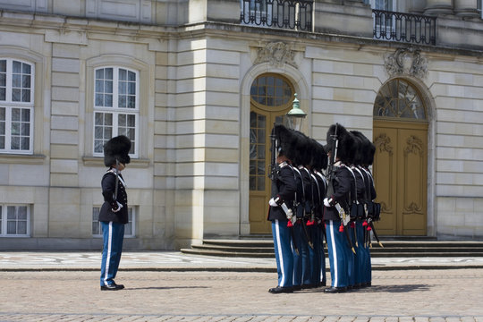 Rigor Images – Browse 22,521 Stock Photos, Vectors, and Video | Adobe Stock