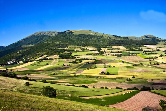 "Campi Coltivati" Images – Browse 832 Stock Photos, Vectors, and Video ...