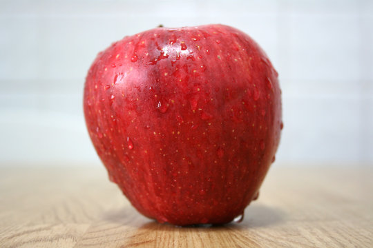 "Mela Images – Browse 17,080 Stock Photos, Vectors, and Video | Adobe Stock