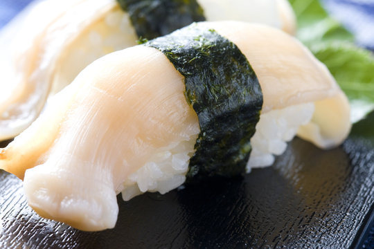 รูปภาพGeoduck – เลือกดูภาพถ่ายสต็อก เวกเตอร์ และวิดีโอ373 | Adobe Stock