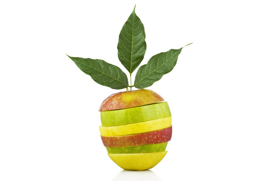 รูปภาพ"Mela – เลือกดูภาพถ่ายสต็อก เวกเตอร์ และวิดีโอ17,398 | Adobe Stock