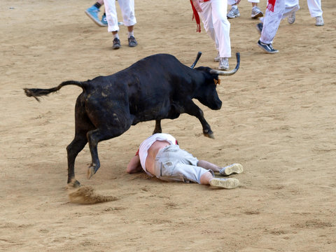 Vaquillas Images – Browse 73 Stock Photos, Vectors, and Video | Adobe Stock