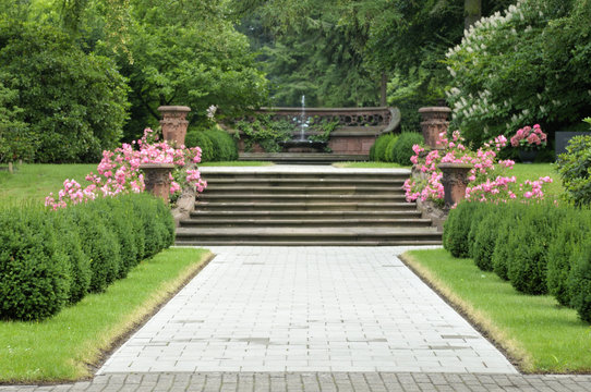 รูปภาพBuschrosen – เลือกดูภาพถ่ายสต็อก เวกเตอร์ และวิดีโอ156 | Adobe Stock