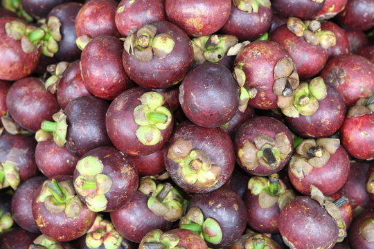 Mangostine Images – Browse 112 Stock Photos, Vectors, and Video | Adobe ...