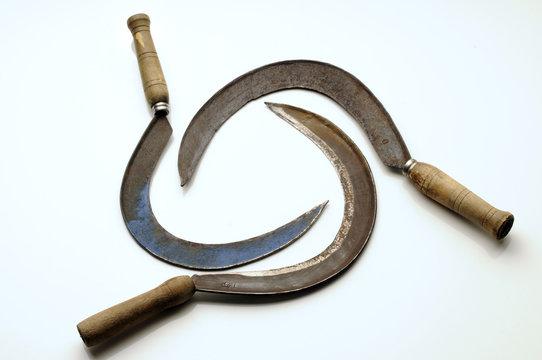 Falci Images – Browse 29 Stock Photos, Vectors, and Video | Adobe Stock