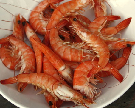 Krevette Изображения: просматривайте стоковые фотографии, векторные ...