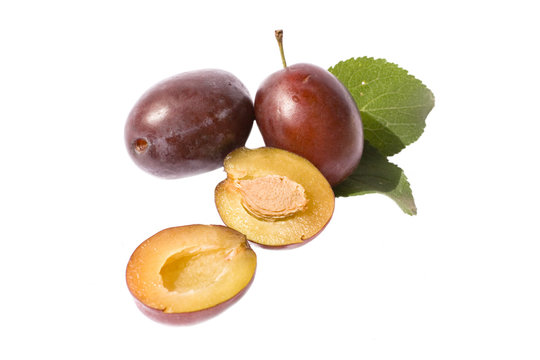 「Zwetschen」の写真素材 | 426件の無料イラスト画像 | Adobe Stock