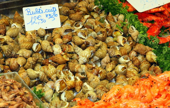 Bulots bilder – Bläddra bland 429 stockfoton, vektorer och videor ...