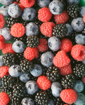 「Wildbeeren」の画像 - 599 件の Stock 写真、ベクターおよびビデオ | Adobe Stock