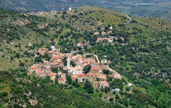 Citronade-Bilder: Stock-Fotos & -Videos. | Adobe Stock