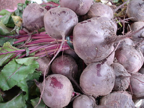 Betteraves Images – Browse 866 Stock Photos, Vectors, and Video | Adobe ...