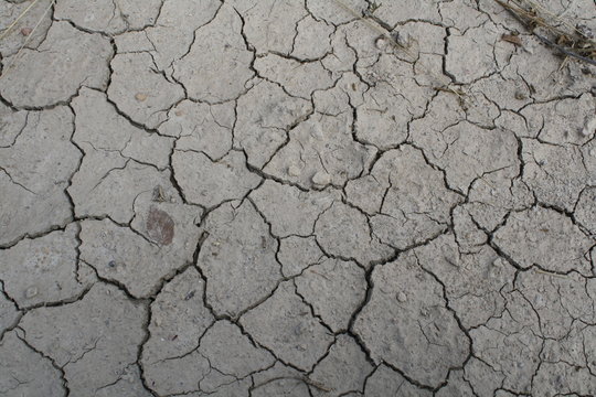 Imágenes de Cuarteado: descubre bancos de fotos, ilustraciones ...
