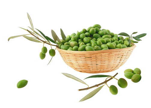 Picholine Images – Browse 196 Stock Photos, Vectors, and Video | Adobe ...