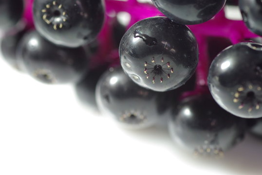 「Scoke」の画像 - 2,634 件の Stock 写真、ベクターおよびビデオ | Adobe Stock