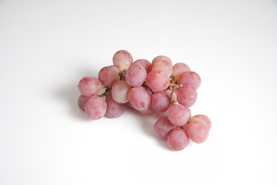 รูปภาพ"Raisin Rose" – เลือกดูภาพถ่ายสต็อก เวกเตอร์ และวิดีโอ100 | Adobe ...