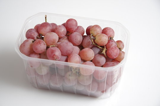 รูปภาพ"Raisin Rose" – เลือกดูภาพถ่ายสต็อก เวกเตอร์ และวิดีโอ100 | Adobe ...